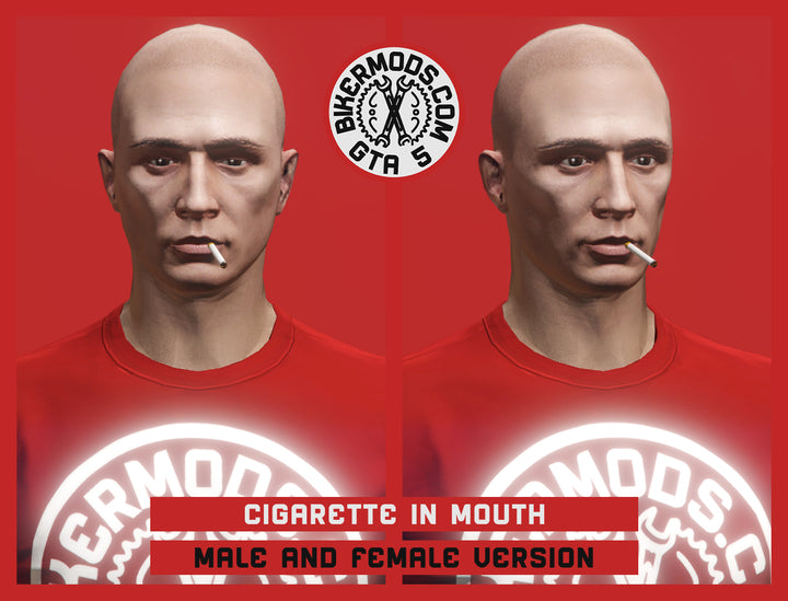 Accessories – Page 9 – GTA 5 Bikermods